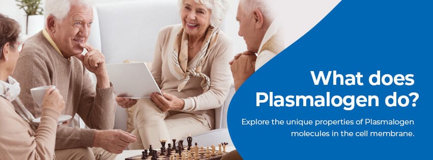Plasmalogen Research - Functions and Importance | My Brain Support