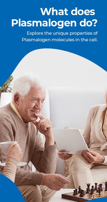 Plasmalogen Research - Functions and Importance | My Brain Support